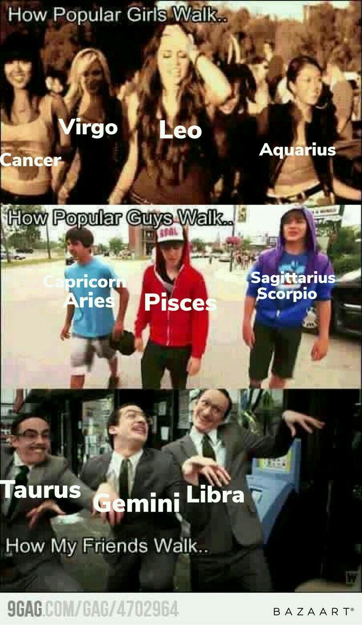 Zodiac squad - Zodiac Memes