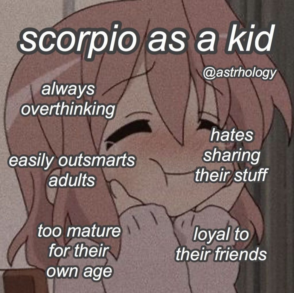 How Scorpio Sees The Signs Zodiac Memes