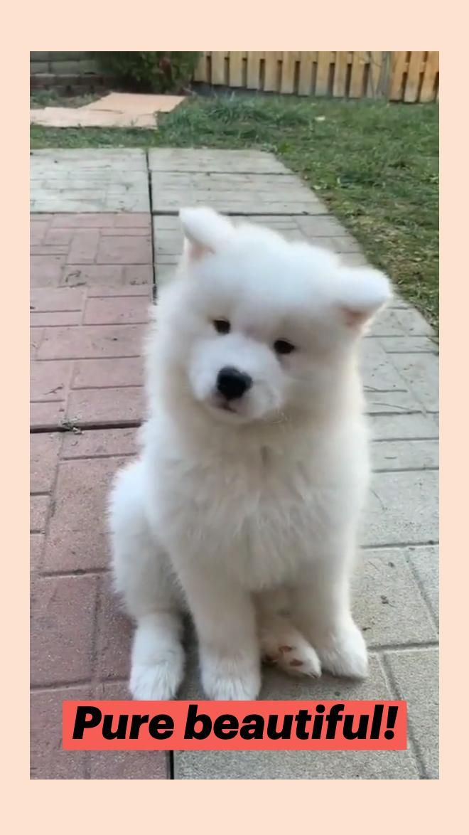 Pure beautiful! - Zodiac Memes